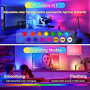 E12 Rechargeable Light Bulbs with Remote Control Timer and 15 Color Temperature,350LM,Removable Base,Magnetically,Battery Operated Light Bulbs,USB Fast Charging,Dimmer,for Non-Hardwired,2Packs