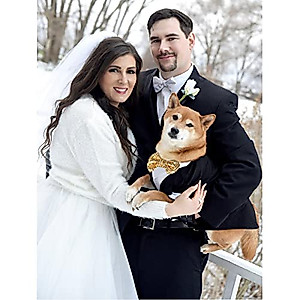 Dog Tuxedo, Formal Dog Clothes Shirt Costume Wedding Attire Party Bow Tie Suit, Dog Outfit for Small Medium Large Dogs Cats, Halloween Pet Costumes Birthday Puppy Clothing Christmas Apparel (XXL)