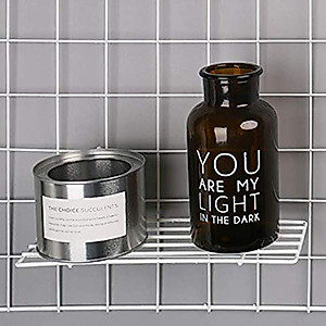 LIOOBO Grid Wall Shelves, Wire Straight Shelf with Hooks, Hanging Shelf for Wall Grid Panel, Wall Organizer for Home Supplies, 10 L x 4 D, White