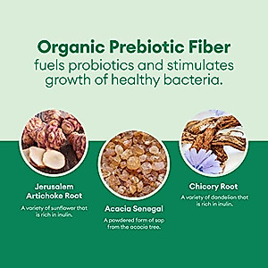 Physician's CHOICE Probiotics for Weight Management & Bloating - 6 Probiotic Strains - Prebiotics - Key ingredient Cayenne & Green Tea - Supports Gut Health - Weight Management for Women & Men - 30 CT