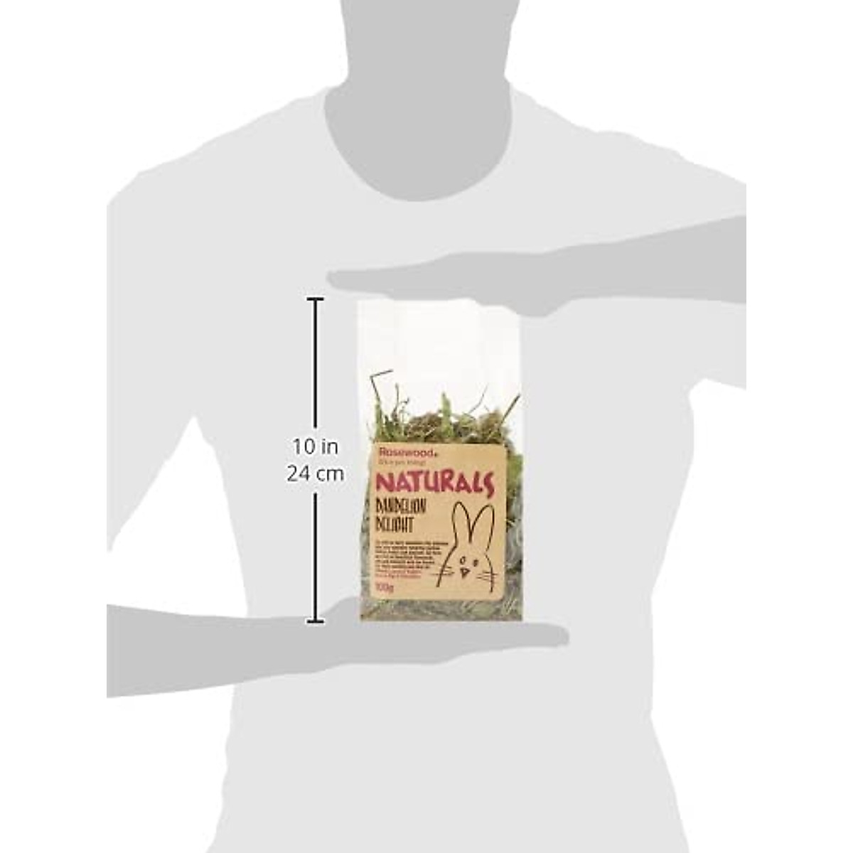 Rosewood Pet 1 Pouch Dandelion Delight Food For Small Animals, 100G