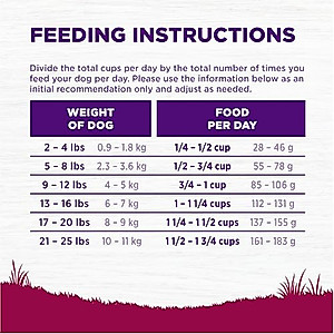 Wellness Complete Health Small Breed Dry Dog Food with Grains, Natural Ingredients, Made in USA with Real Turkey, For Dogs Up to 25 lbs, (Adult, Turkey & Oatmeal, 4-Pound Bag)