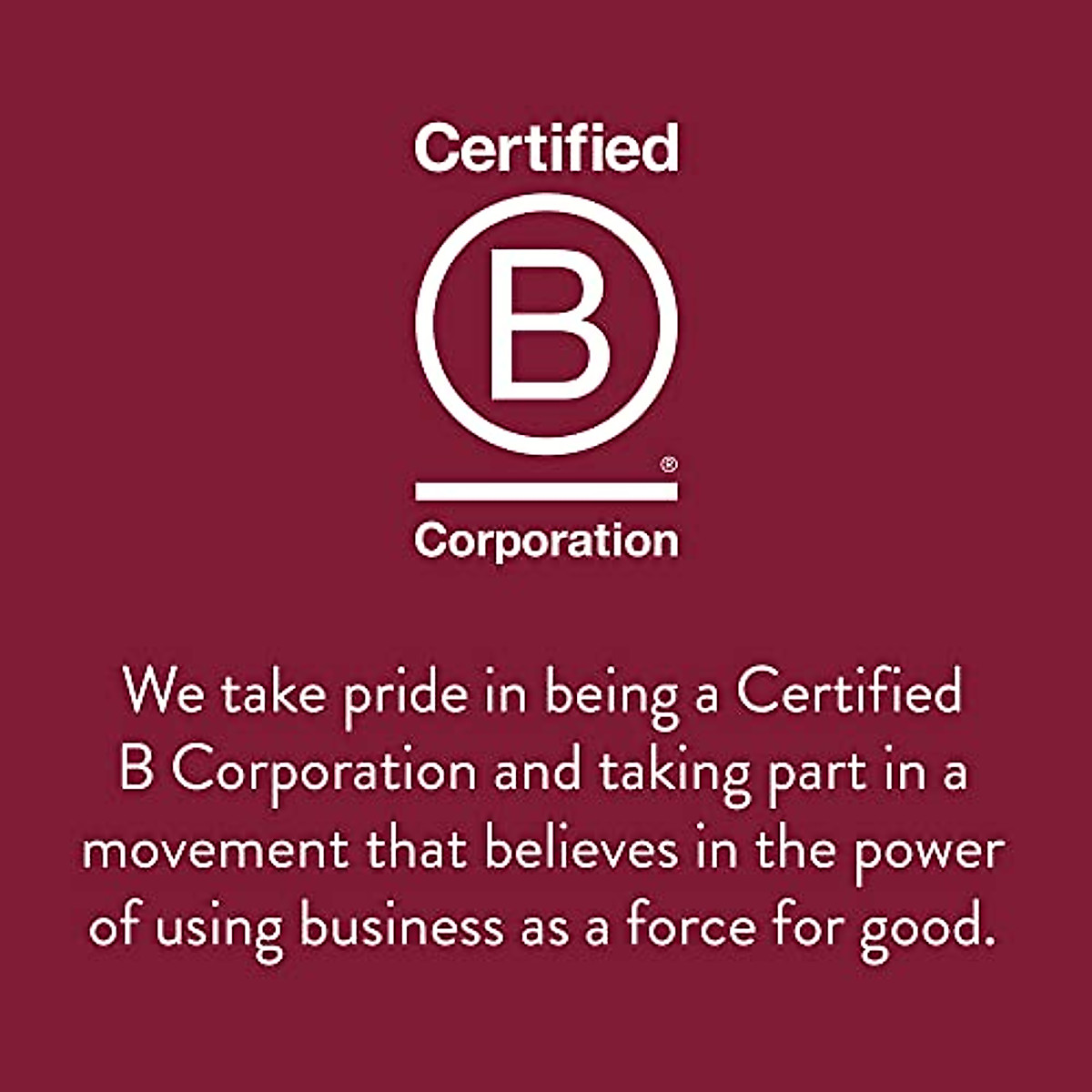 Stash Tea Decaf Chocolate Hazelnut Black Tea - Decaf, Non-GMO Project Verified Premium Tea with No Artificial Ingredients, 18 Count (Pack of 6) - 108 Bags Total