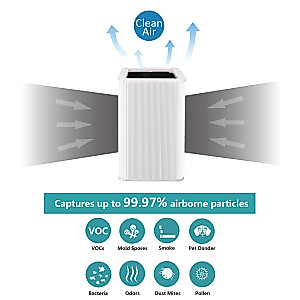 Blue Pure 121 Relacement Filter, Compatible with Blueair Blue Pure 121 Air Purifier, Particle and Activated Carbon Filter Captures Bacteria, Odors, Smoke, Dust