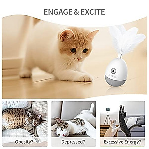 PETGEEK Laser Pointer Cat Toy, Interactive Cat Toy for Kitten Toys, Cat Laser Toy with Bird Squeaky, Automatic Cat Toy with Cat Wand Replacement, Cat Toys for Indoor Cats