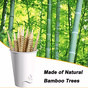 32 PCS Bling Candy Apple Bamboo Sticks, Caramel Apple Wooden Pointed Skewers with Rhinestones Diamond Mesh Wrap, Fruit Treats Pop Dec Bar for Dessert Table Tea Party Birthday Wedding (Silver)