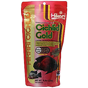Hikari 8.8-Ounce Cichlid Gold Floating Pellets for Pets, Medium