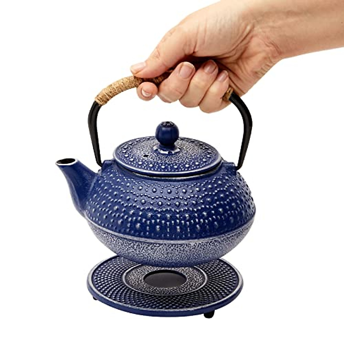 3 Piece Set Blue Japanese Cast Iron Teapot, Loose Leaf Tetsubin with Handle, Stainless Steel Infuser, and Trivet (27 oz, 800 ml)