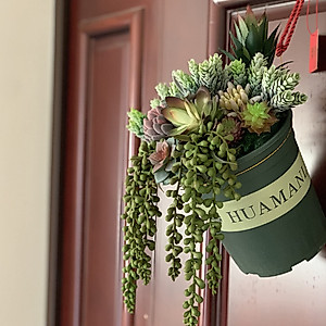 Daxi Events Artificial Succulents, 17 Pack Fake Succulents, Unpotted Faux Succulents， Realistic Textured Succulent Plants, Large Artificial Succulent Plants Bulk Decor Table Home Office Garden