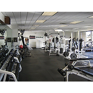 Tru-Stall 1 Piece 3/4" Thick Rubber Mat - 14' x 14' - Horse Stall Mat, Extra-Large Seamless Rubber Mat, One Piece Rubber Flooring for Horses, Stalls, Gyms, Garages, Barns, and More