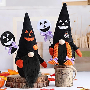 QKURT 2 Pieces Fluffy Fuzzy Faux Fur, Furry Fur Fabric Cutting Rolls Colorful Shaggy Plush Faux Fur Fabric Fluffy Fuzzy Craft Fur for DIY Craft Cosplay Costume Clothing Decoration