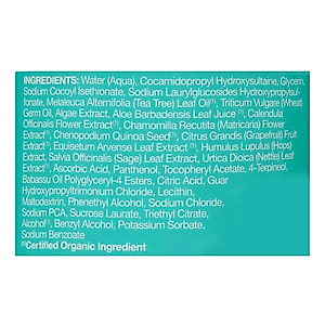 Jason Tea Tree Shampoo 12 oz