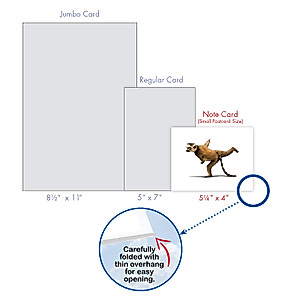 The Best Card Company - 10 Boxed Thank You Notes w/Envelopes, Assorted Stationery to Say Thanks for Men and Women - Zoo Yoga M6547TYG