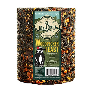 Mr. Bird Woodpecker Feast Birdseed Large Cylinder 4 lbs. 3 oz.