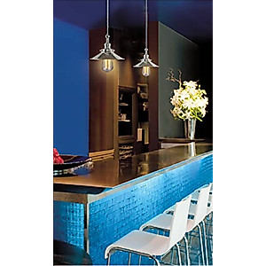 Westinghouse 0413200 60 Watt ST20 Amber Timeless Vintage Inspired Bulb with Medium Base