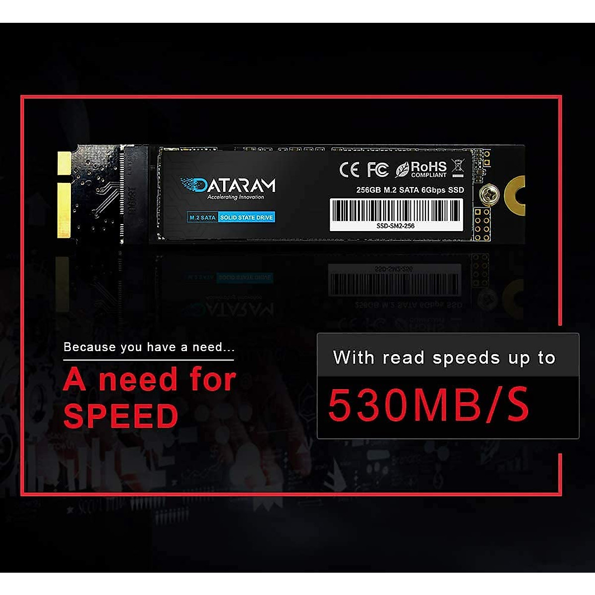 Dataram 256GB SSD Solid State for 11" & 13" MacBook Air Late 2010 Mid 2011 /A1370 A1369