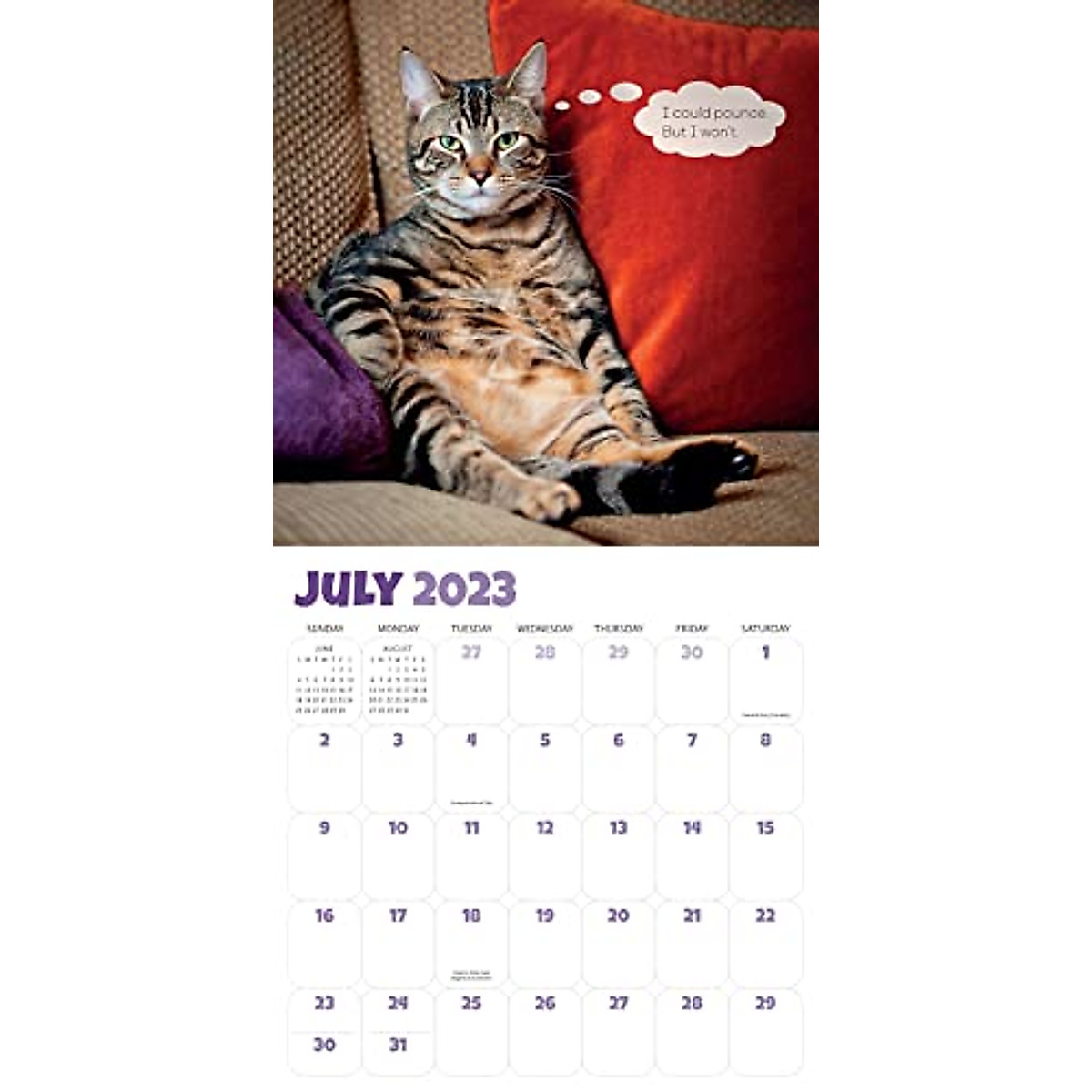 Chonkers Wall Calendar 2023: Irresistible Photos of Snozzy, Chonky Floofers Paired with Relaxation-Themed Quotes