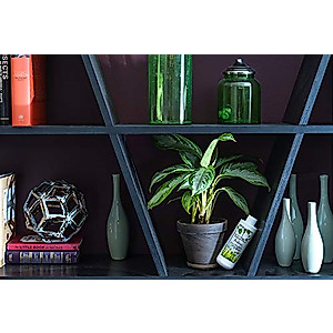 Indoor Plant Food | All-purpose House Plant Fertilizer | Liquid Common Houseplant Fertilizers for Potted Planting Soil | by Aquatic Arts