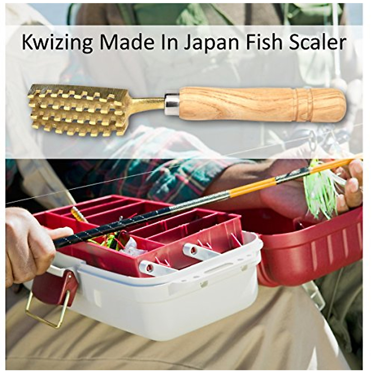 Kwizing Made in Japan [Extra Large] Fish Scaler Brush with Brass Serrated Sawtooth and Ergonomic Wooden Handle - Easily Remove Fish Scales Without Fuss Or Mess - Handcrafted by Japanese Artisans