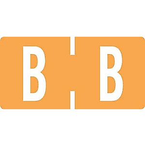Doctor Stuff - File Folder Labels, Alphabet Letter B, TAB Products - TBAV Series Compatible Alpha Stickers, Fluorescent Orange, 1/2" x 1”, 500/Roll