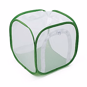 Two Doors Monarch Butterfly Habitat, Insect Mesh Cage, Caterpillar Enclosure Terrarium Pop-up (12 X 12 X 12 Inches)