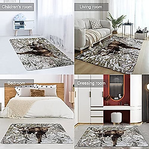 ERUXUGB Cutest Baby Animals | Moose Calf Coral Velvet Floor mat（150×100cm）