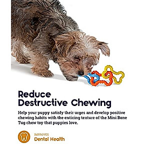 Petstages Mini Bone Tug Puppy Chew Toy