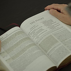 ESV Study Bible, Large Print (TruTone, Brown/Cordovan, Portfolio Design)