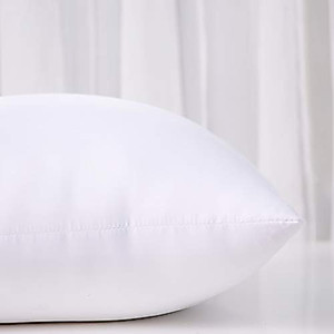 Acanva Throw Inserts Couch Stuffer Pillows Hypoallergenic Square Form Washable Cushion Filler, 2 Count (Pack of 1), White