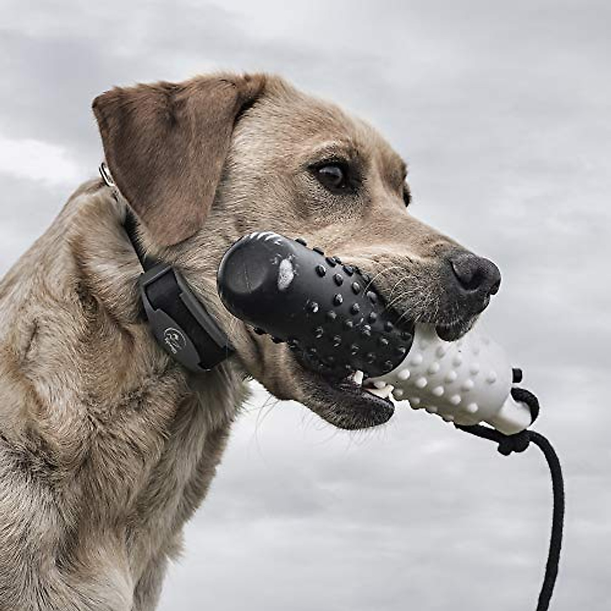 SportDOG Brand FieldTrainer 425X/SportHunter 825 Add-A-Dog Collar-Additional, Replacement or Extra Collar for Your Remote Trainer-Waterproof and Rechargeable with Tone, Vibration and Static