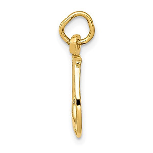 Auriga Fine Jewelry 14k Yellow Gold Polished Horseshoe Pendant (L- 20 mm, W- 10 mm) Gift for Women