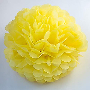 HappyField Sunshine First Birthday Decorations You Are My Sunshine Party Decorations Baby Shower Decorations Yellow Pink Tissue Pom Poms Paper Lantern for Wedding Bridal Shower Sunshine Party Supplies