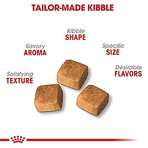 Royal Canin Feline Breed Nutrition Persian Kitten Dry Cat Food, 3 lb