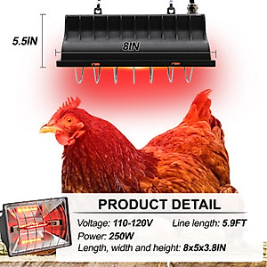 WISMOIER Infrared Heat Lamp for Chickens Coop Chicks Puppies Reptiles Livestock Poultry Bathroom 250 Watt 120V, Sauna Red Light Therapy Bulb