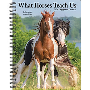 Willow Creek Press What Horses Teach Us Softcover Weekly Planner 2024 Spiral-Bound Engagement Calendar (6.5" x 8.5")