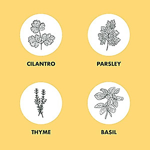 Indoor Herb Garden Starter Kit - Heirloom, Non-GMO Herb Seeds - Basil Thyme Parsley Cilantro Seed, Potting Soil, Pots, Scissors - DIY Grow Kits for Growing Herbs Indoors, Kitchen, Balcony, Window Sill