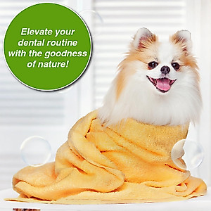 Pure and Natural Pet Organic Dental Solutions USDA Certified Organic Large Kit (.8 oz Canine Tooth Gel with Eco-Friendly Bamboo Toothbrush).