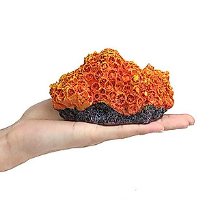 Danmu 1Pc of Polyresin Coral Ornaments, Aquarium Coral Decor for Fish Tank Aquarium Decoration 5.11" x 3.93" x 2.75"