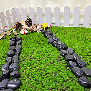 FANTIAN 5lb Natural Polished Black River Rocks - Decorative Black Pebbles for Indoor Plants,Black Stones for Planters, Vase, Crafting, Garden Landscape Rocks and Outdoor Decorative Stones