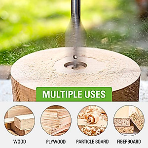 Greenworks 11 Pcs Wood Drilling Set for Woodworking, Plywood, Particle board, Fiberboard (Including Hex Shank Spade Bits & Brad Point Drill Bits)