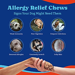 YoYoBay Dog Allergy Relief Chews - Immune Support & Itch Relief with Colostrum, Astragalus Root, 6-Strain Gut Health Blend - Duck & Pear Flavor, 360g