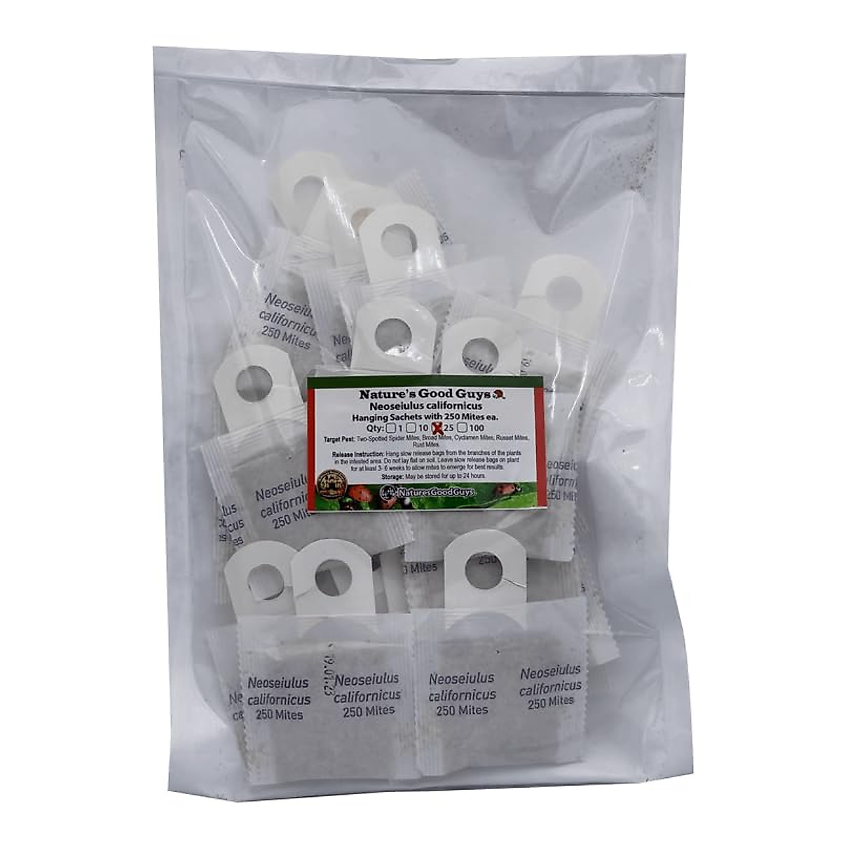 Neoseiulus californicus 25 sachets with 250 Mites
