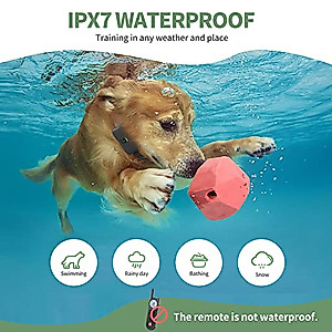 Dog Training Collar with Remote,3/4 Mile Range Dog Shock Collar,Waterproof and Rechargeable with Beep, Vibration, Safe Shock, Light and Keypad Lock Mode for Large Medium Small Dogs (X1 Grey)