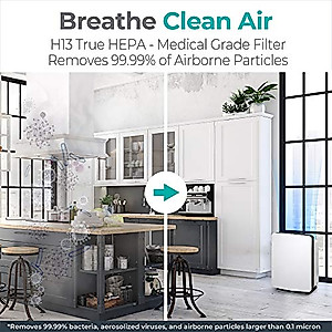 Alen FIT50 HEPA Air Purifier - Medical Grade Filtration H13 True HEPA for 900 SqFt - 99.9% Airborne Particle Removal- Allergens, Dust, Mold, Germs+ carbon to absorb common household odors- White