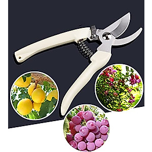 ATAAY Stainless Steel Garden Grafting Tool Fruit Tree Pruning Shears Bonsai Pruners Garden Shears Gardening Secateurs Scissor (Style 1 )