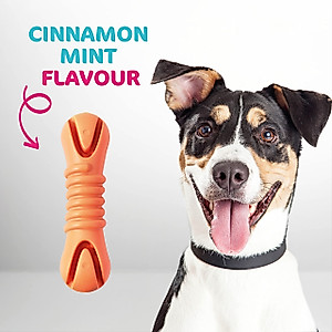 TastyBone Dental Bone Dog Chew Toy (One Size) (Cinnamon Mint)
