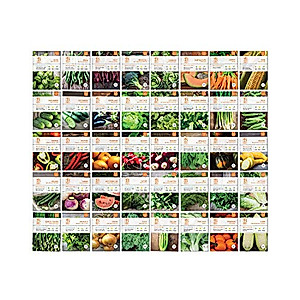 Bentley Seed Co. Set of 40 Vegetable Seeds for Planting - Gardening Seeds to Grow in a Garden or Indoors - Get your own Seeds for Planting Vegetables - Herb Seeds - Garden Seeds Vegetable Variety Pack