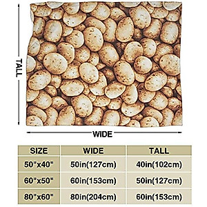 OLOSARO Potato Fleece Blanket Throw Queen Size Lightweight Warm Soft Cozy Luxury Blanket Microfiber for Sofa Bed Couch Chair Fall Winter Spring Living Room