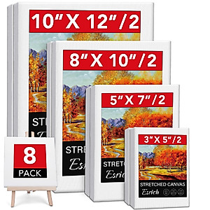 Stretched Canvases for Painting, 8PCS Multi Pack Canvas 3×5”, 5×7”, 8×10”, 10×12”(2 of each), Acid-Free Wood Frame Blank Canvas, Art Canvas Pre Primed for Acrylic, Oil Painting, Tempera Paintings.