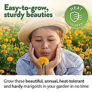 Marigold Seeds Bulk Mix - 5600+ Crackerjack Marigold Flower Seeds for Planting Outdoors - Flowers Seed for Companion Planting - Wildflower African Marigold Seeds (Tagetes erecta)